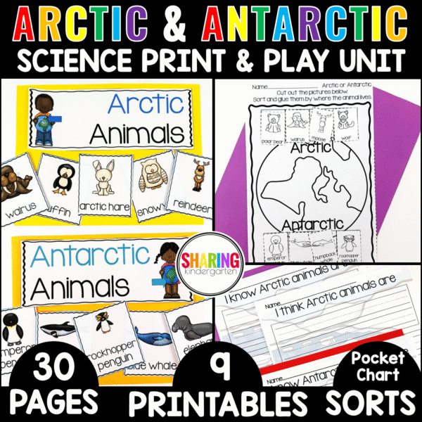 Arctic Animals and Antarctic Animals - Sharing Kindergarten