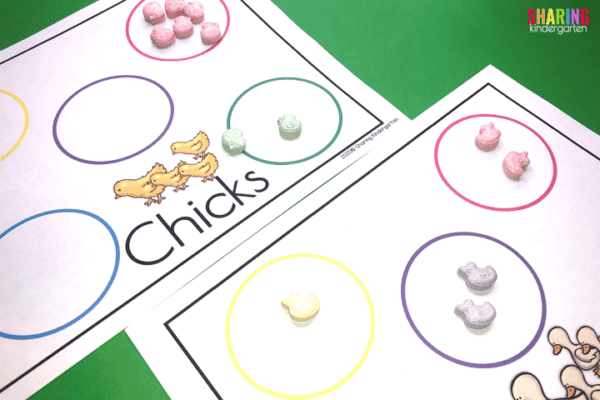 SweeTart Chicks Ducks and Bunnies - Sharing Kindergarten