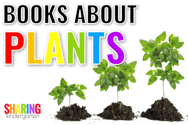 An Amazing Plants Unit for Kindergarten - Sharing Kindergarten