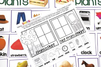 An Amazing Plants Unit for Kindergarten - Sharing Kindergarten