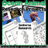 Ocean Animal Research Projects for 10 Types of Ocean Animals - Sharing ...