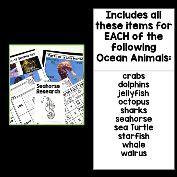 Ocean Animal Research Projects for 10 Types of Ocean Animals - Sharing ...